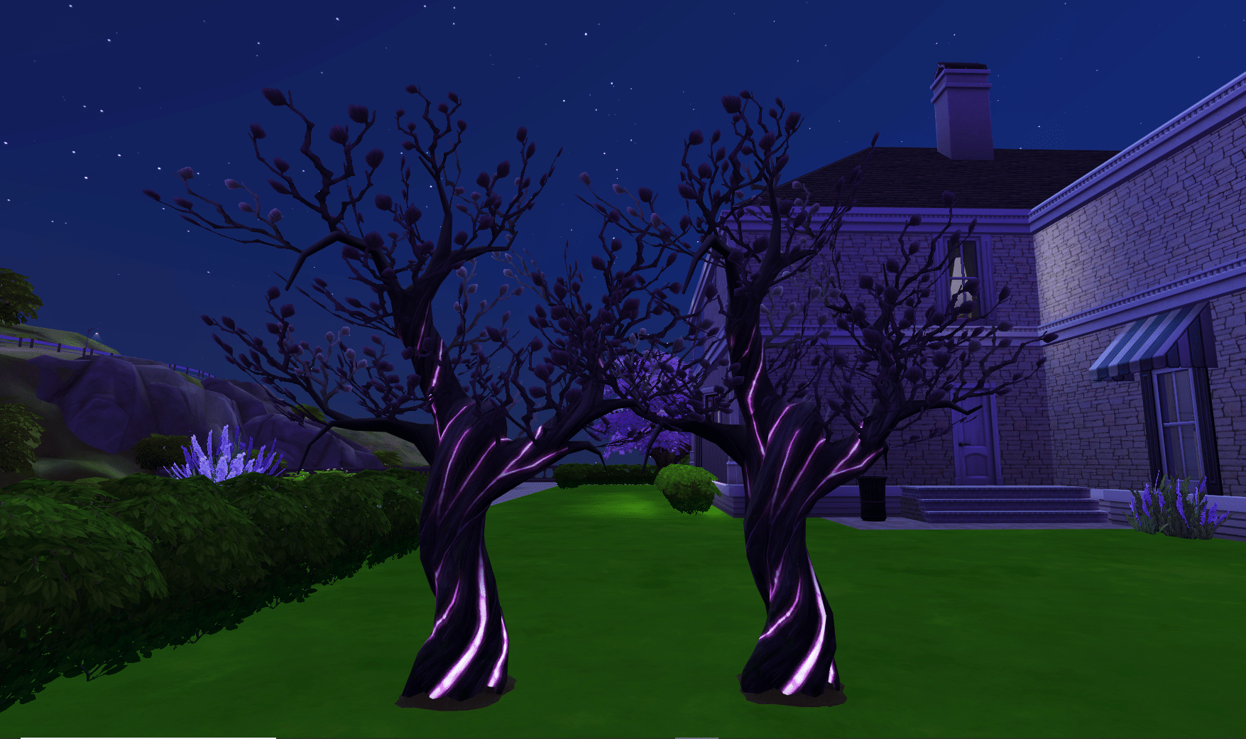Know All About The Plasma Fruit In The Sims 4