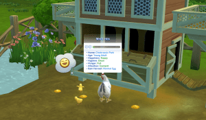 TS4 Chickens: The Ultimate Guide on Cleaning and Caring For Them