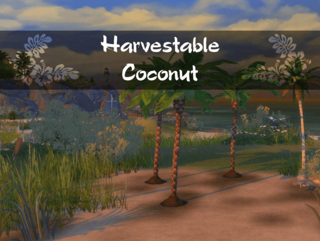 Coconut: The Hairy Harvestable Of The Sims 4 — SNOOTYSIMS