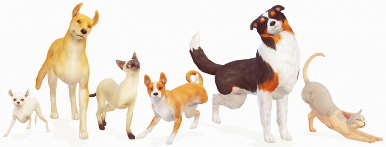 Sims 4 Disabilities: Disabled Representation in The Sims 4! — SNOOTYSIMS