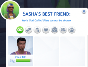 Make Meaningful Memories with the Memory Panel Mod — SNOOTYSIMS