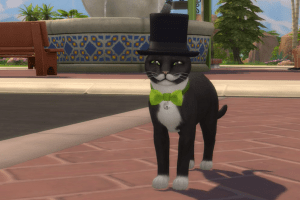 The Sims 4 Characters: 25+ Remarkable Sims, Townies, and NPCs!