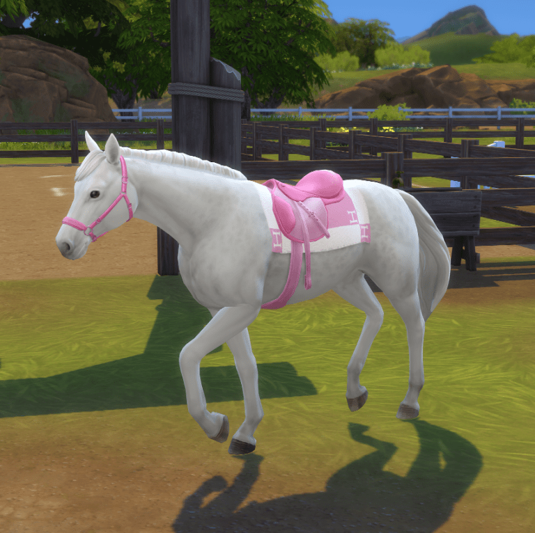 Sims 4 Horse Ranch CC: Riding Equipment & Accessories CC — SNOOTYSIMS