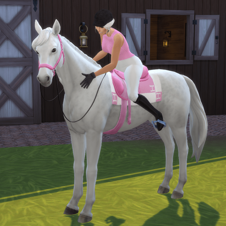 Sims 4 Horse Ranch CC: Riding Equipment & Accessories CC — SNOOTYSIMS