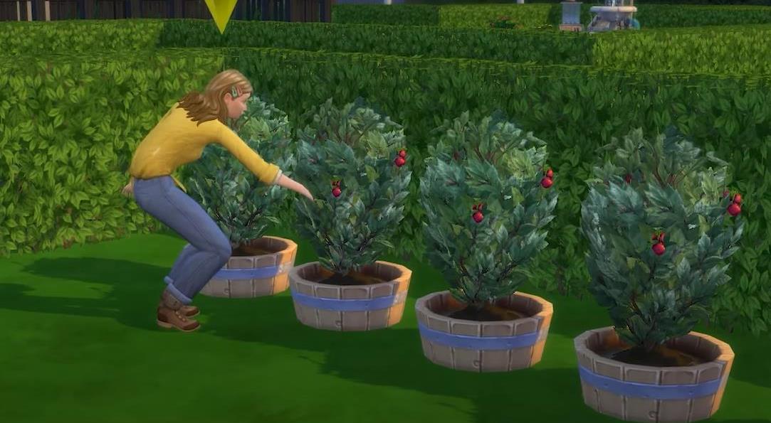 Complete Sims 4 Plant List - Find & How To Harvest Plants