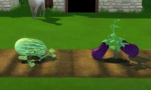 Complete Sims 4 Plant List - Find & How To Harvest Plants