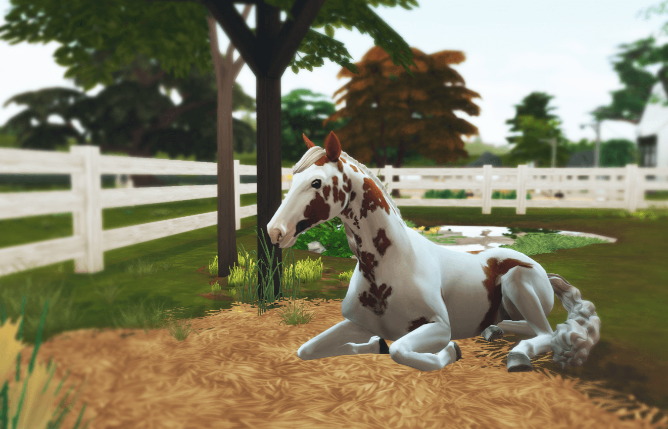 70+ Sims 4 Horse Ranch CC: Best CAS & Build/Buy Objects! — SNOOTYSIMS
