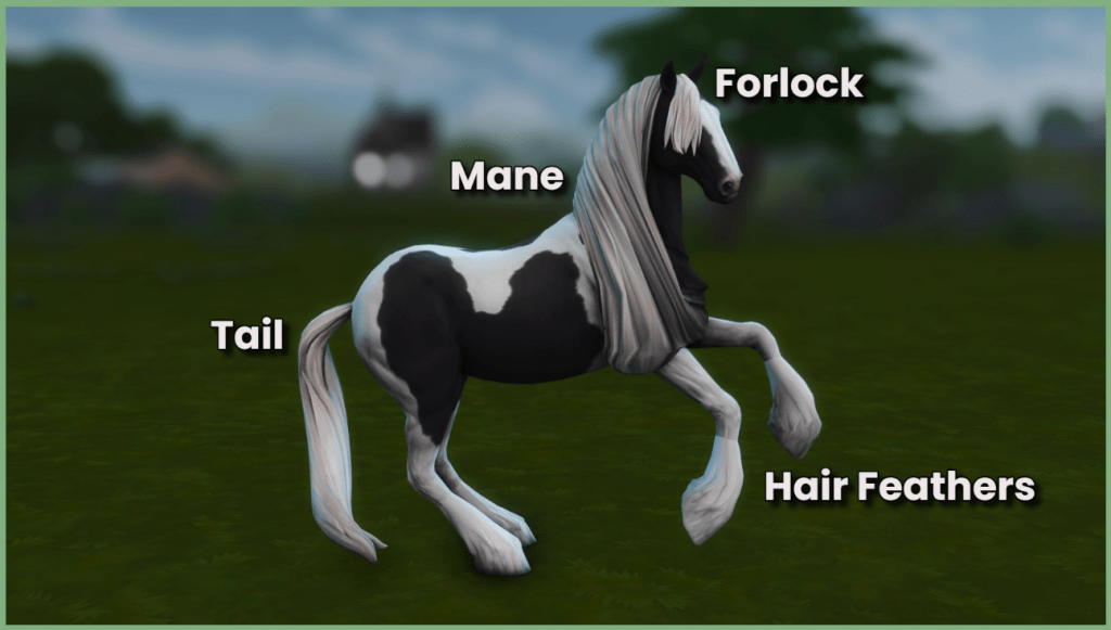 Horse Ranch CC — Page 2 of 2 — SNOOTYSIMS