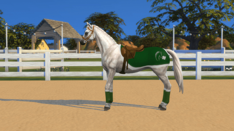 Sims 4 Horse Ranch CC: Riding Equipment & Accessories CC — SNOOTYSIMS