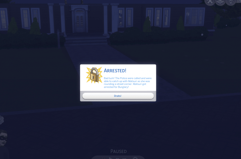 Burglar Mod: Bring Back Terrific Thieves in TS4!