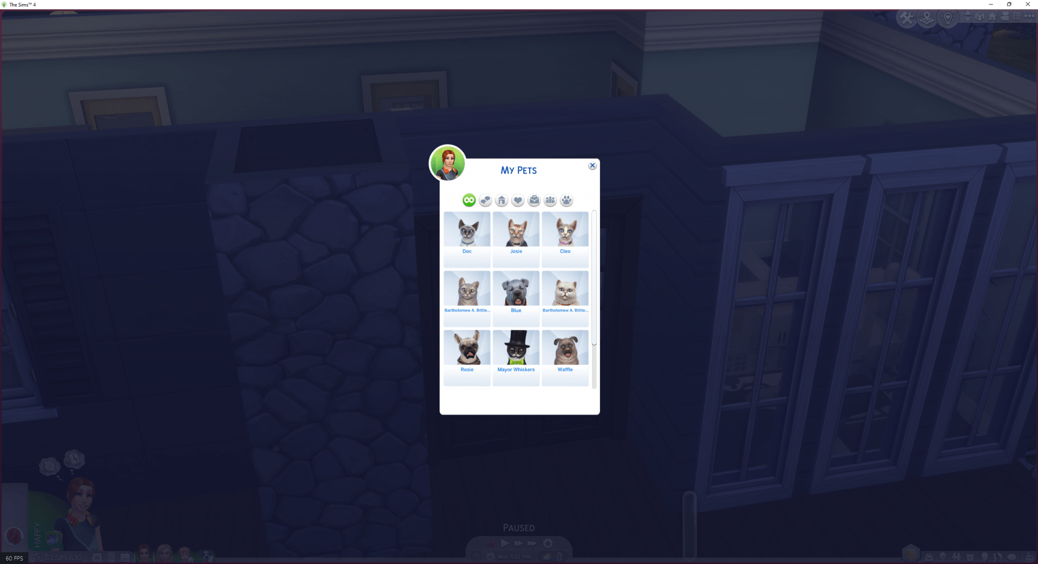 30+ Pet Mods: Revamp The Lives of Your Furry Friends In TS4!