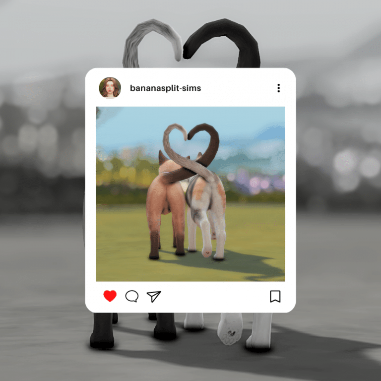 Pet Poses: Take The Best Photos With 30+ CC Links — SNOOTYSIMS