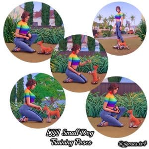 Pet Poses: Take The Best Photos With 30+ CC Links — SNOOTYSIMS