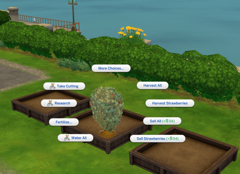 How To Find And Grow Strawberries in The Sims 4?
